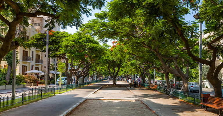 Fun & Historical Tel Aviv Street names you might recognize! - Rosen ...