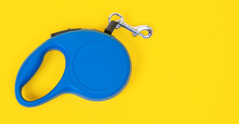 Woof woof! Dogs-related Hebrew Vocabulary | Rosen School Blog